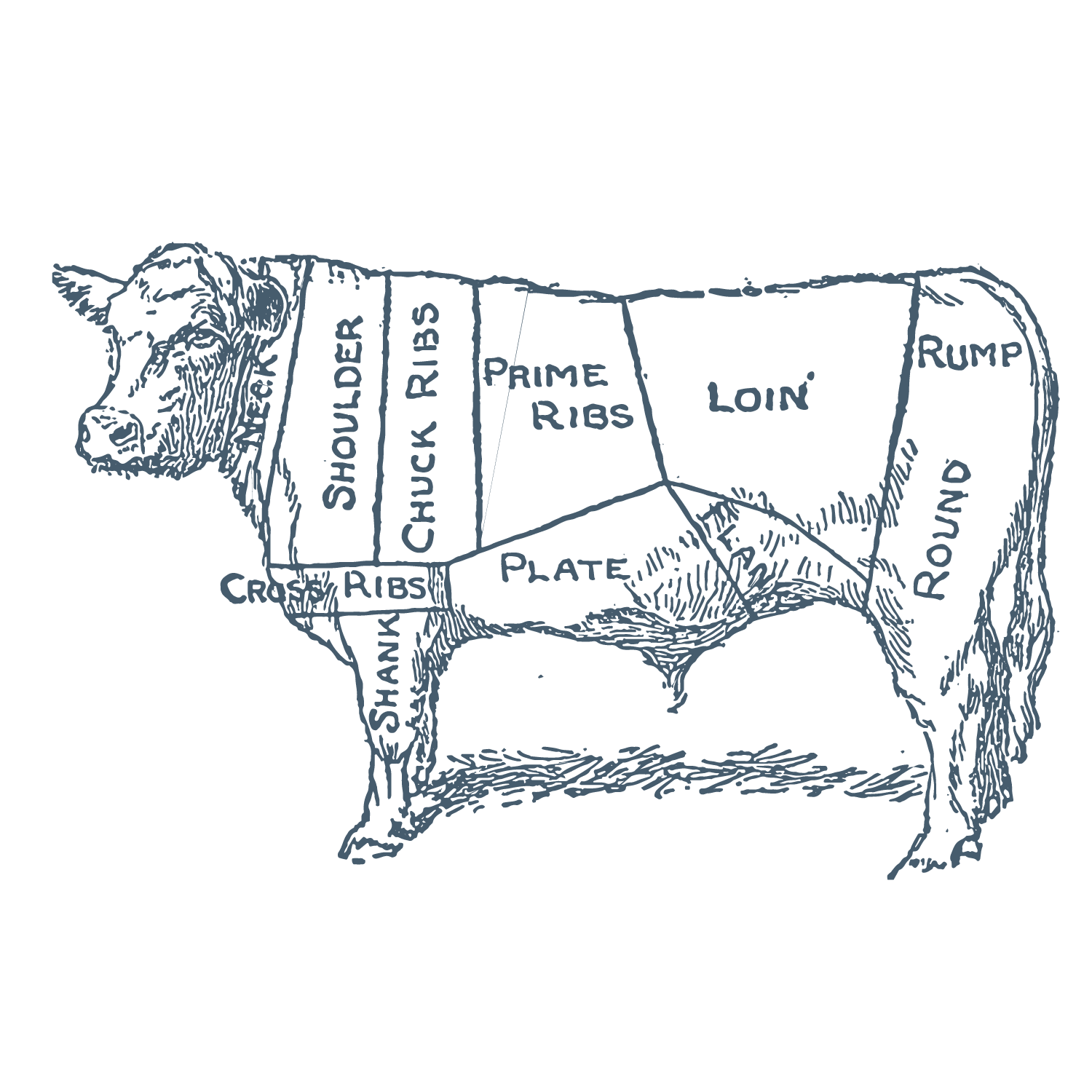 Pasture Raised Beef | Muddy H Farms | Gainesville, Ga